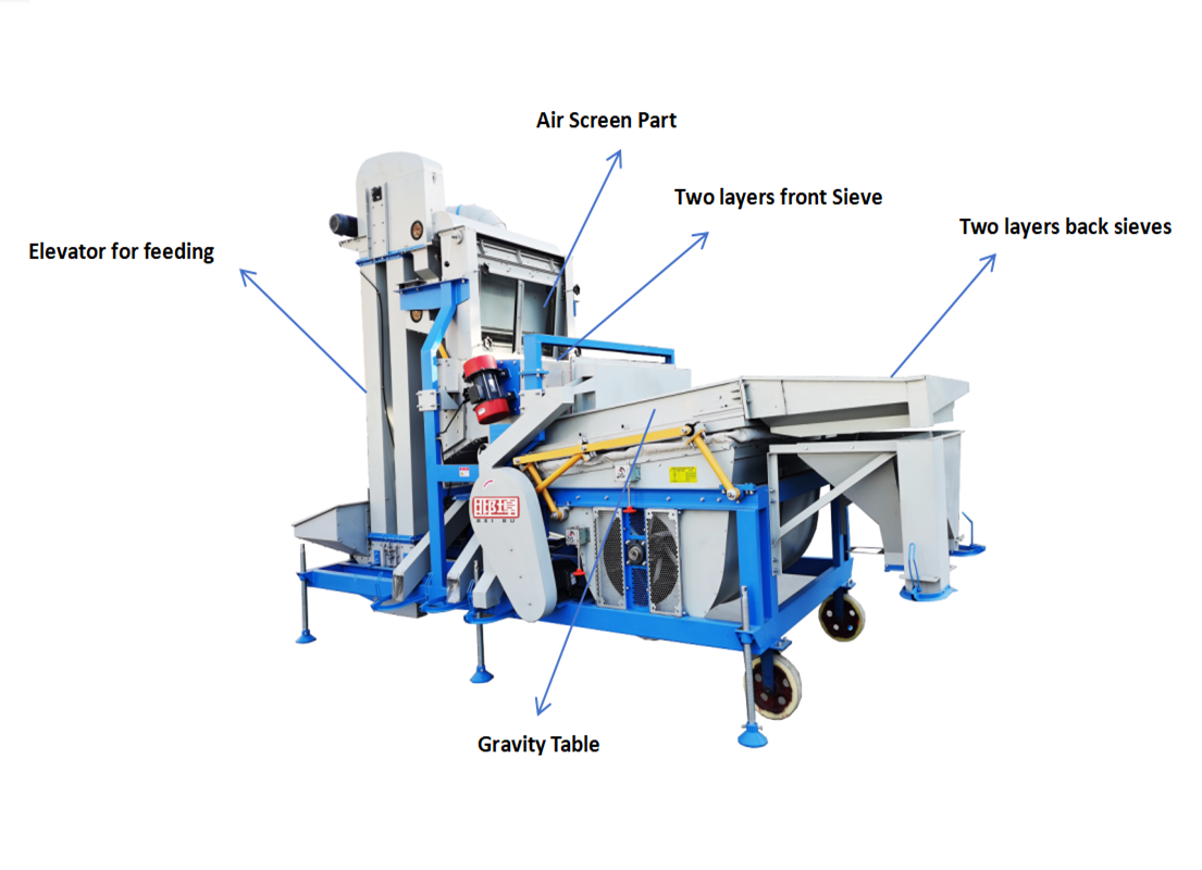 sesame cleaning machine|Beibu Machinery